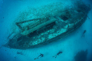 Deep Sea Discovery Shakes Evolution Views | The Conservative Times